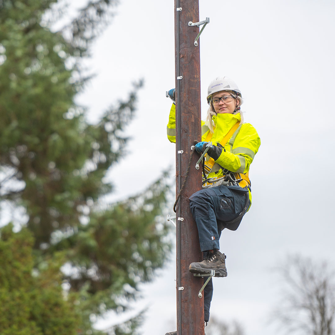 Products - Scanpole Fencing